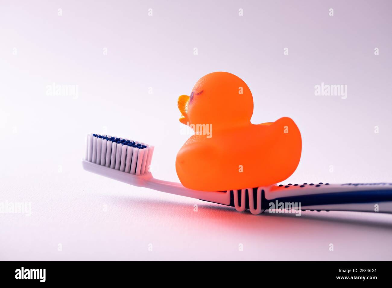 A shot of a toothbrush with duck toy isolated on white background Stock ...