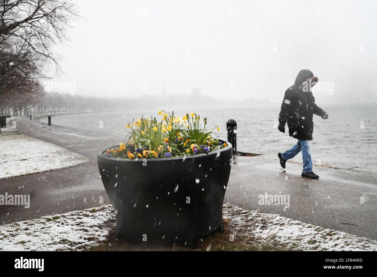 Snowfall and snow smoke during the snowstorm that pulled in over ...