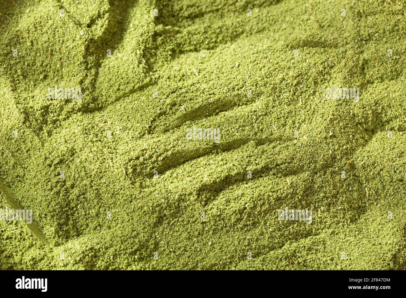 Moringa powder - Moringa oleifera. Top view Stock Photo - Alamy