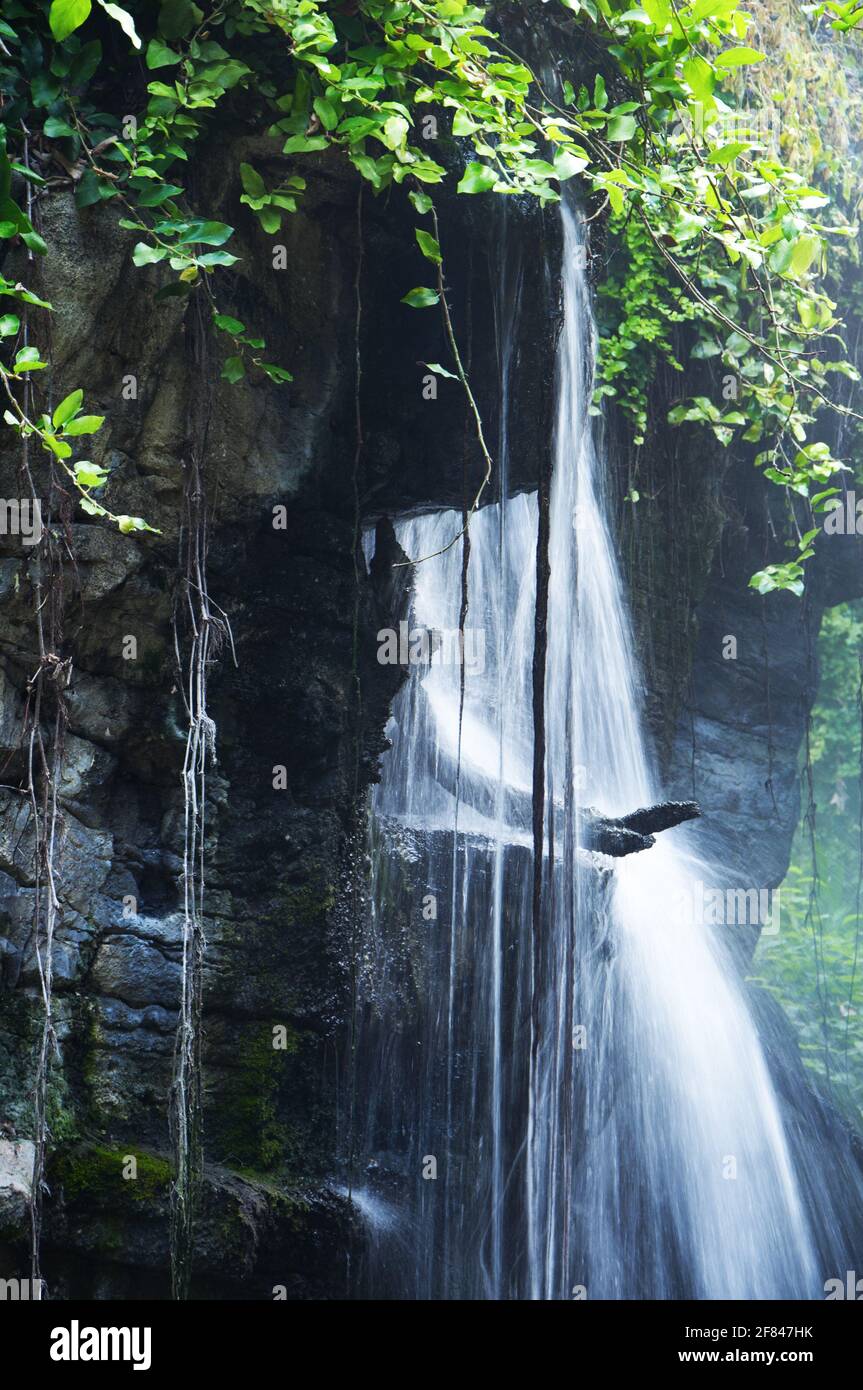 Vertical shot stream small waterfall hi-res stock photography and ...