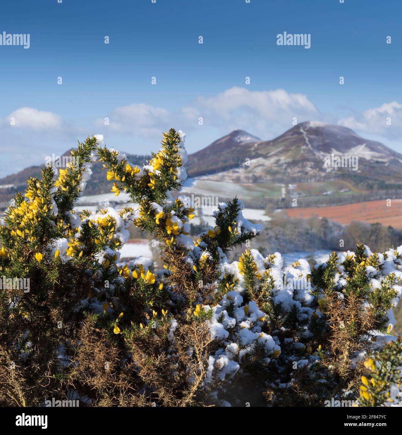 The Eildon Hills in the Scottish Borders, from Scott's View looking ...