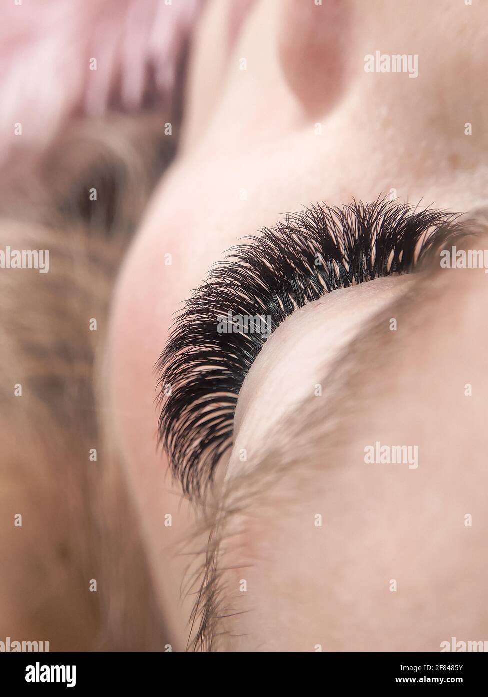 lash extension in beauty salon macro eye Stock Photo - Alamy