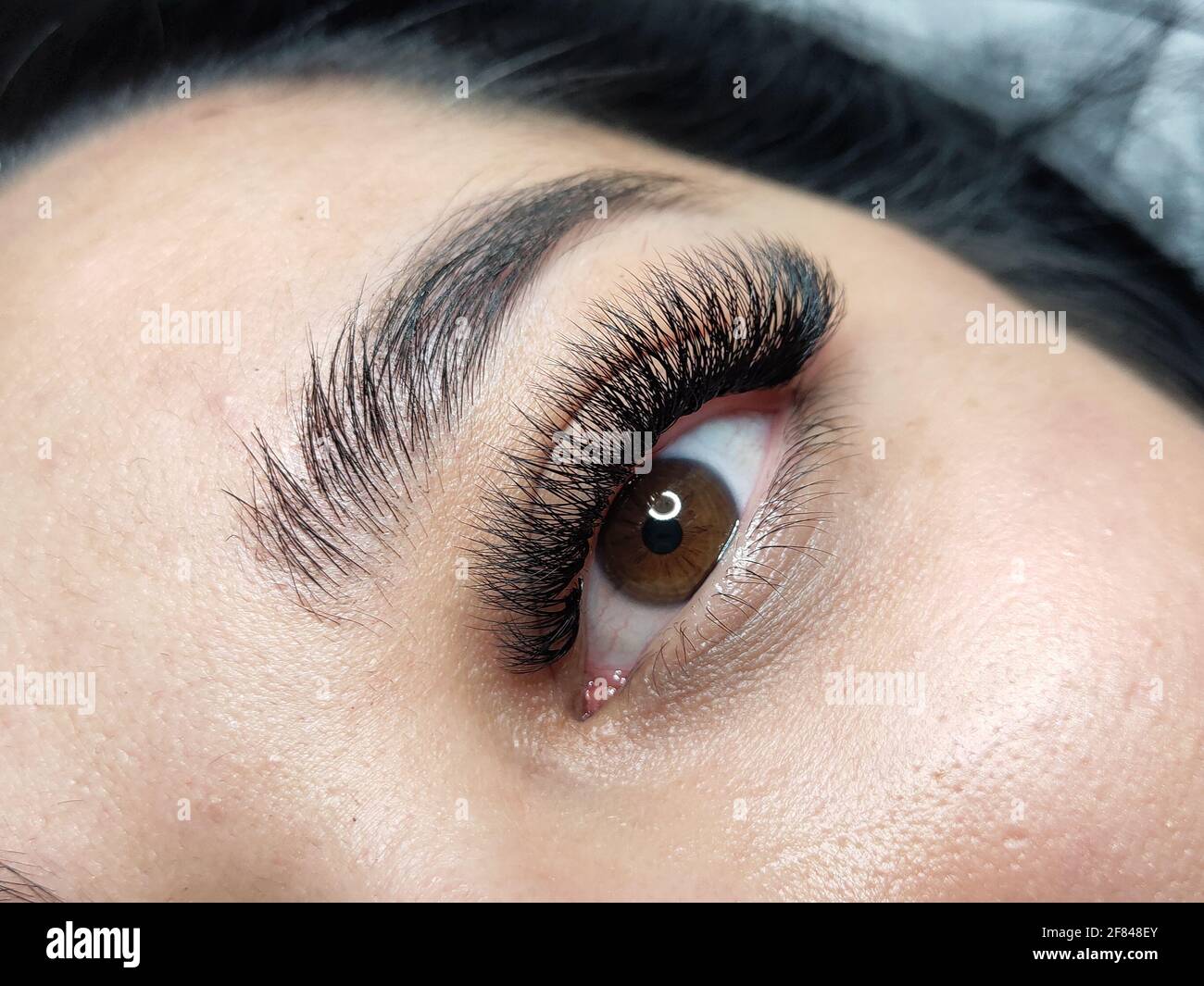 lash extension in beauty salon macro eye Stock Photo - Alamy