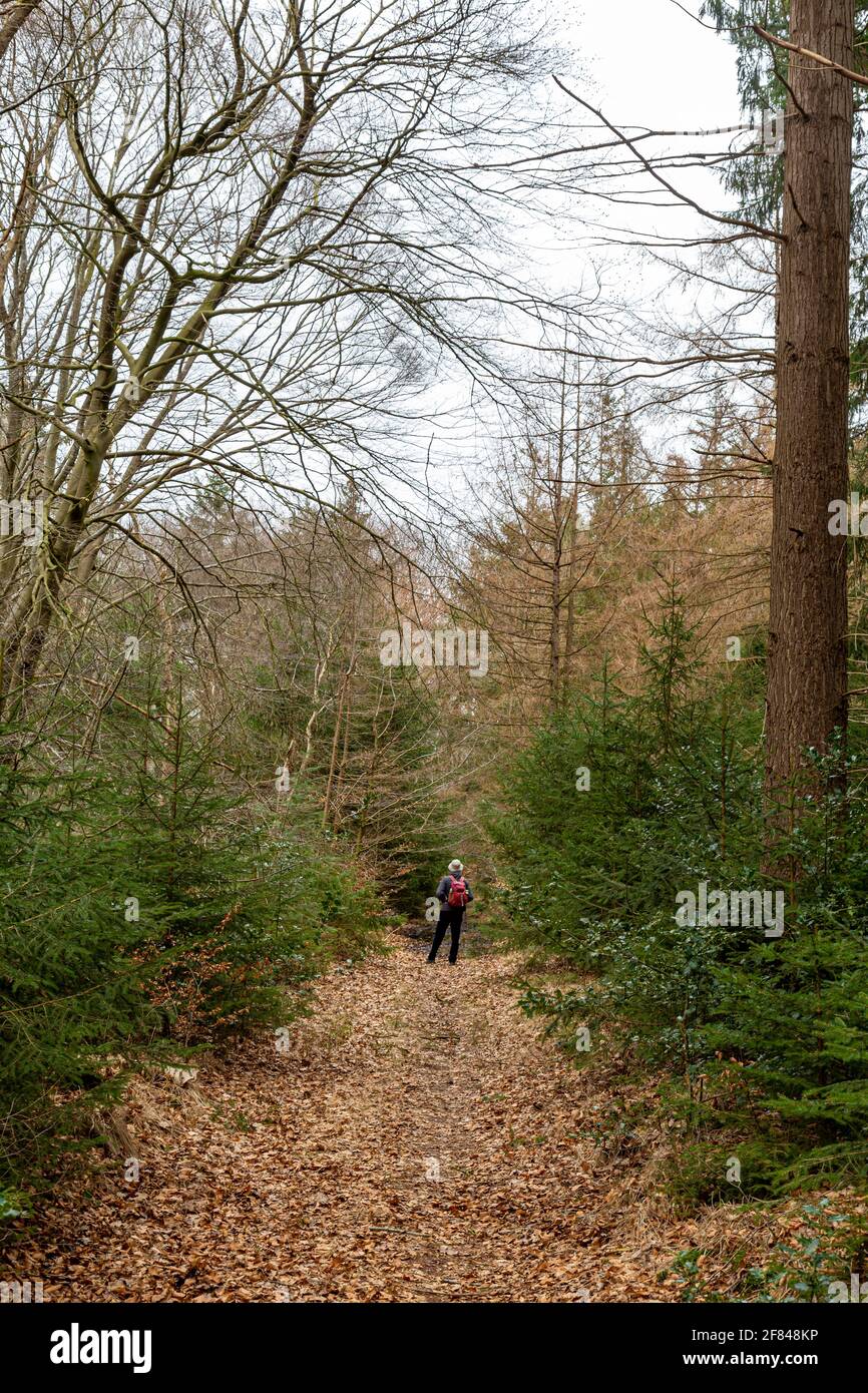 Hking trail hi-res stock photography and images - Alamy