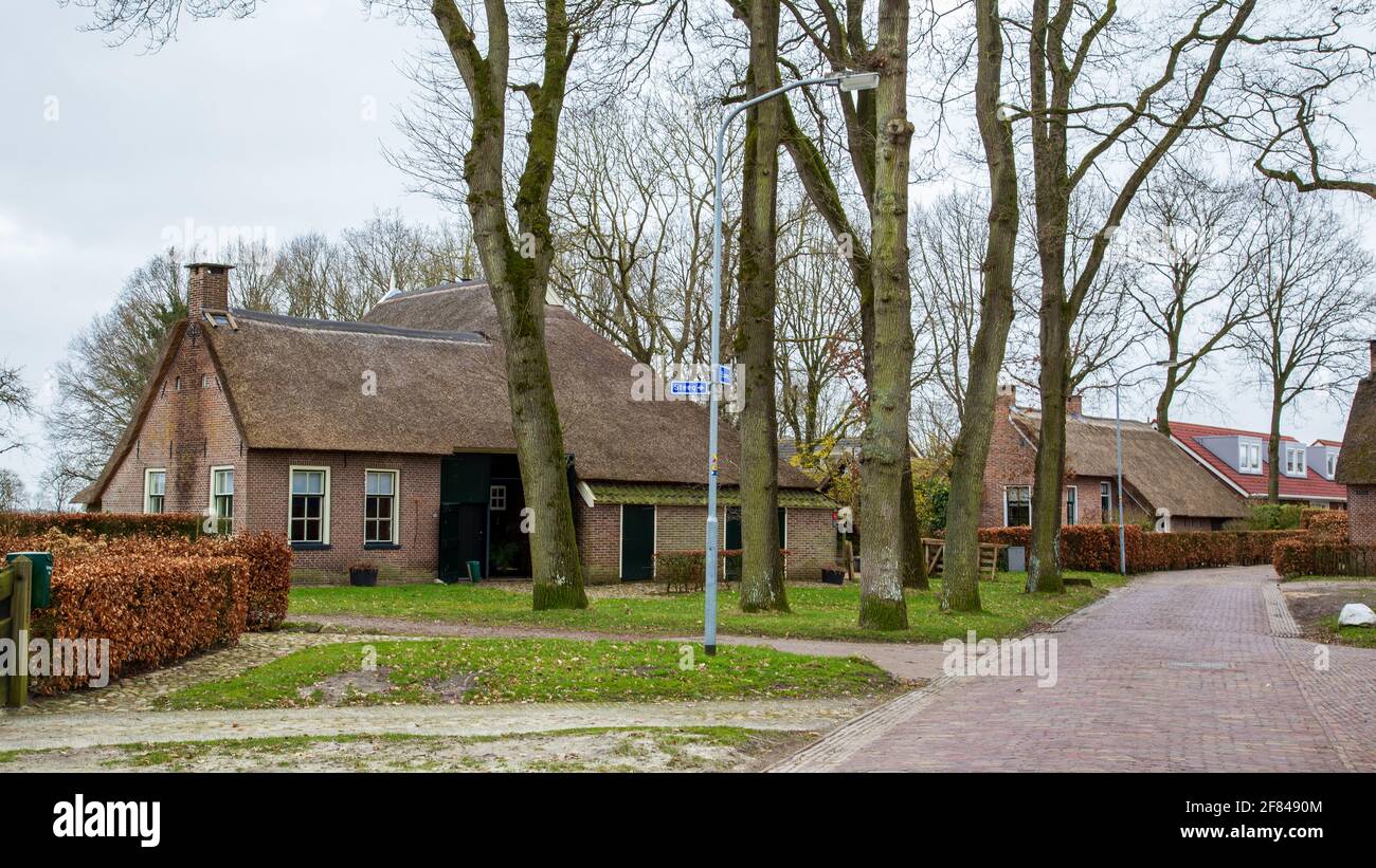 Typical dutch houses straw hi-res stock photography and images - Alamy