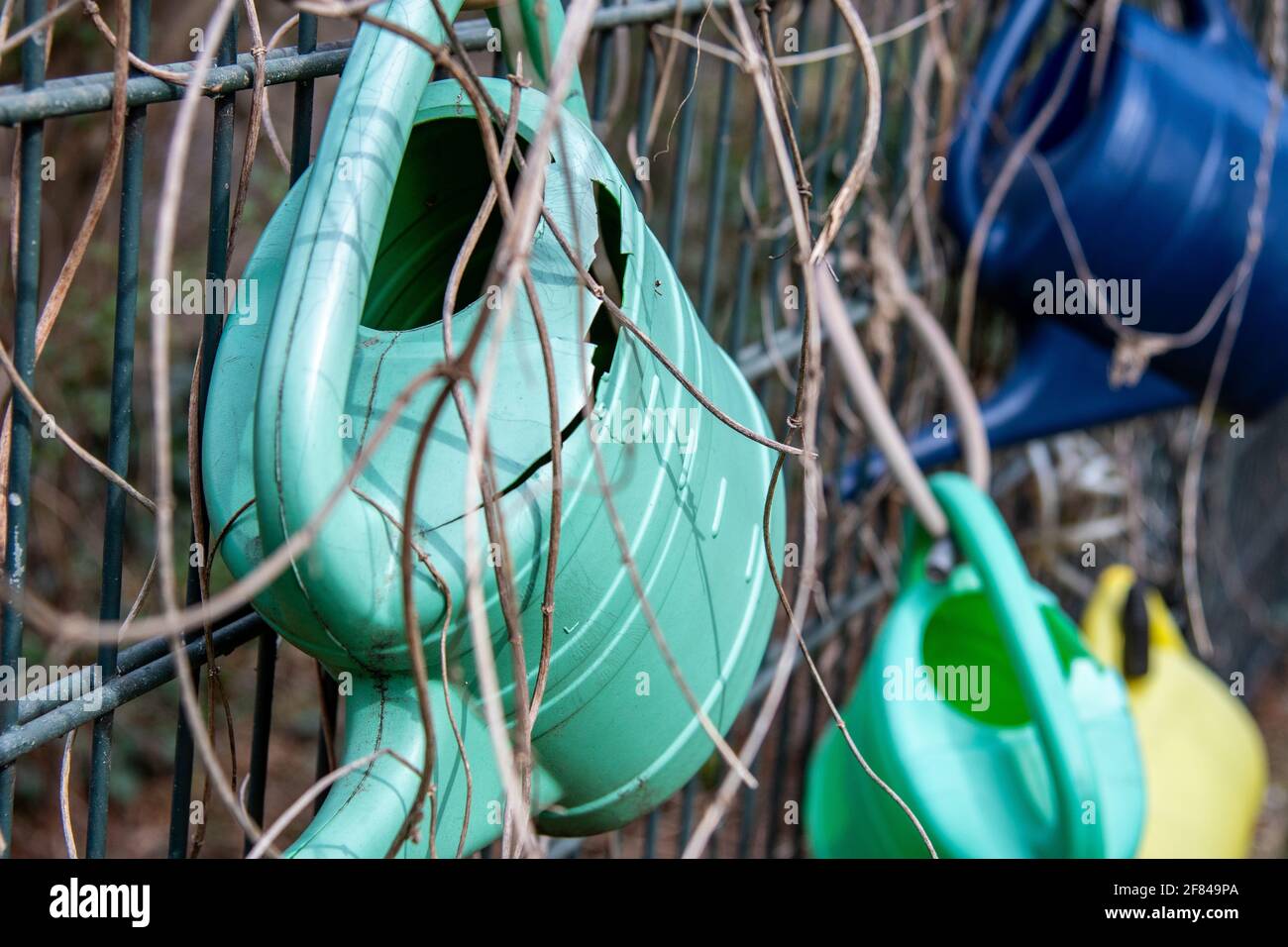 Blue watering cans hi-res stock photography and images - Alamy