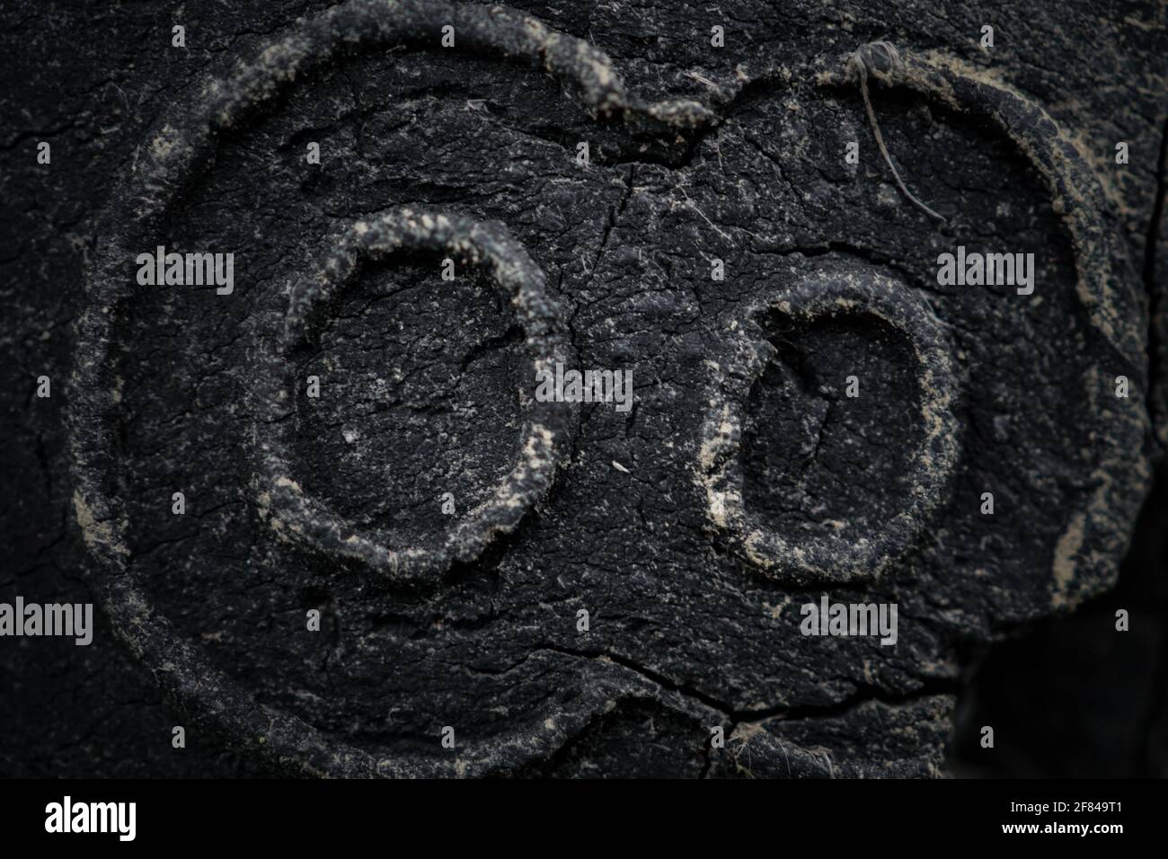 Modri hi-res stock photography and images - Alamy