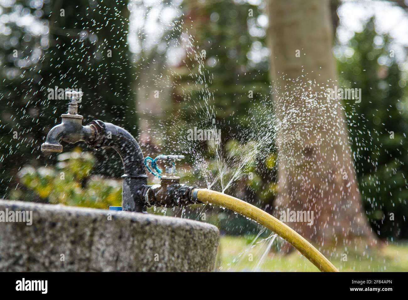 Yellow water tap and a broken water hose Stock Photo - Alamy