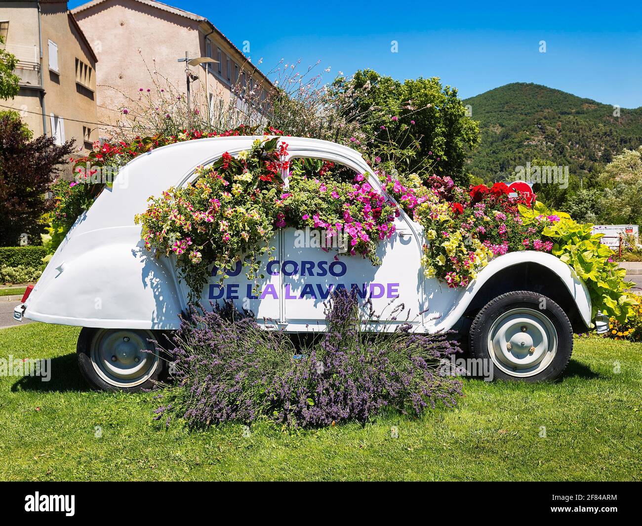 Bouquets de lavande hi-res stock photography and images - Alamy