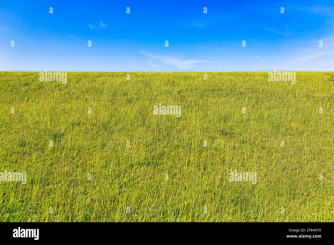 Grass dike hi-res stock photography and images - Alamy