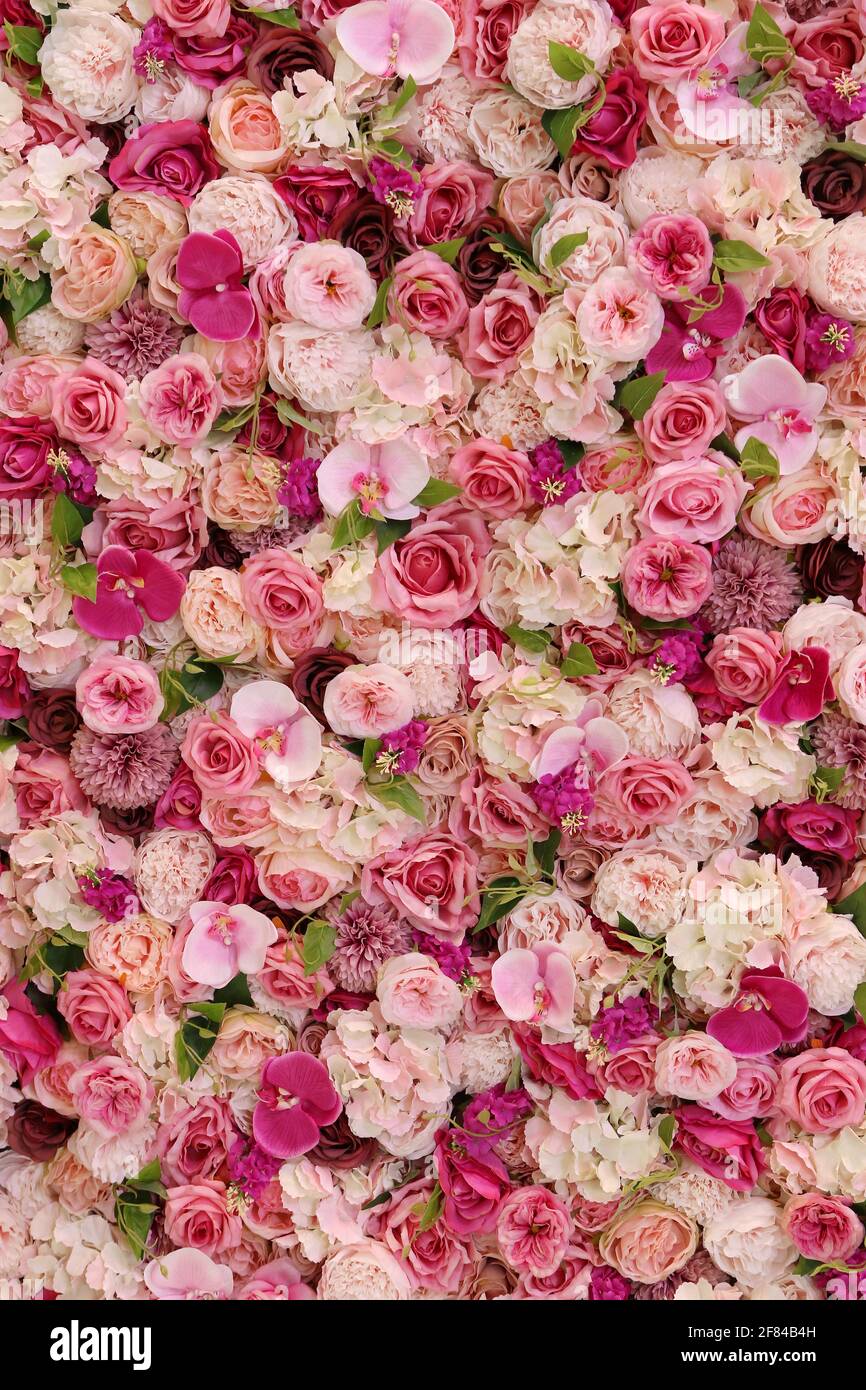 Roses, carnations and various pink flowers, format filling Stock Photo ...