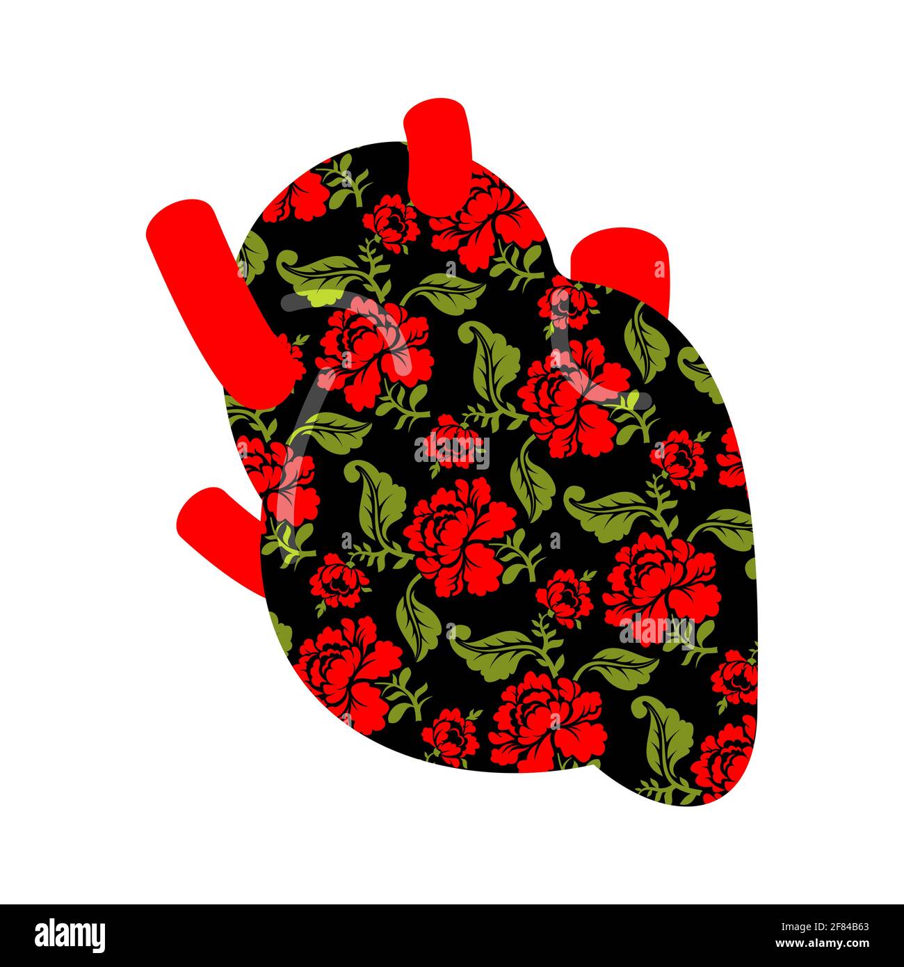 Old anatomical Stock Vector Images - Alamy