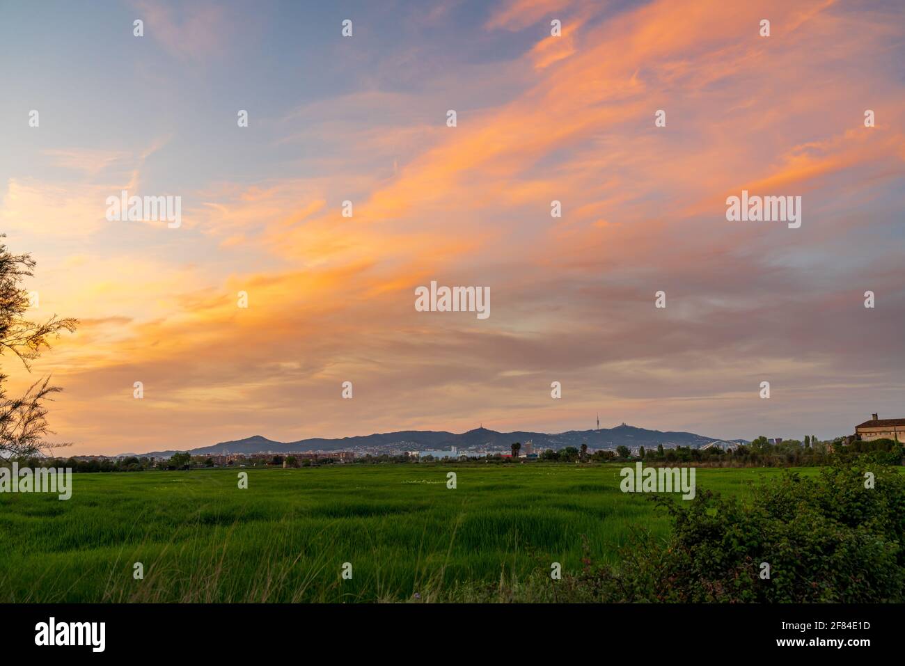 Sunset on the mountain of Collserola in Barcelona. From the Llobregat ...