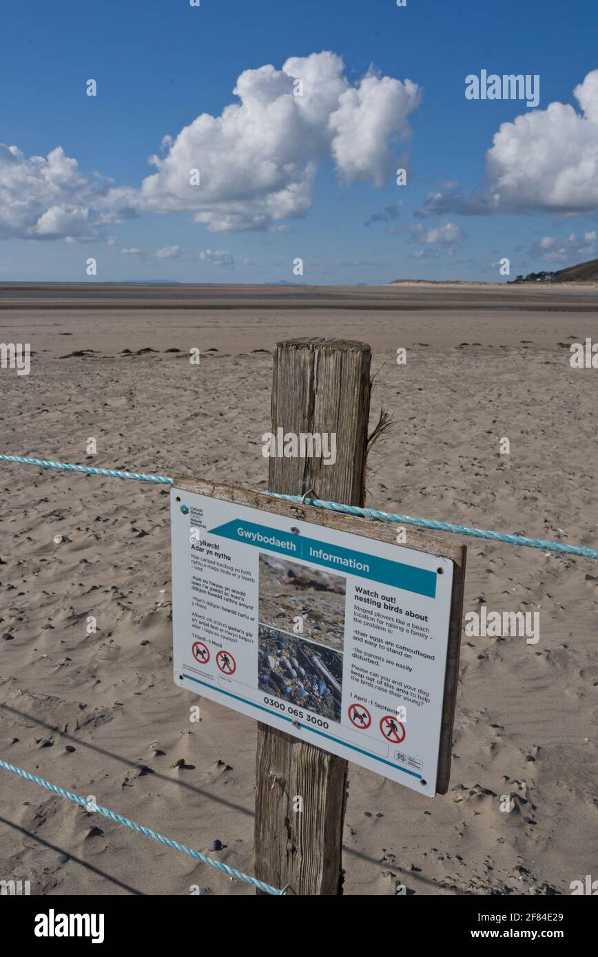 Bilingual Welsh/English sign warning of nesting birds conservation area ...