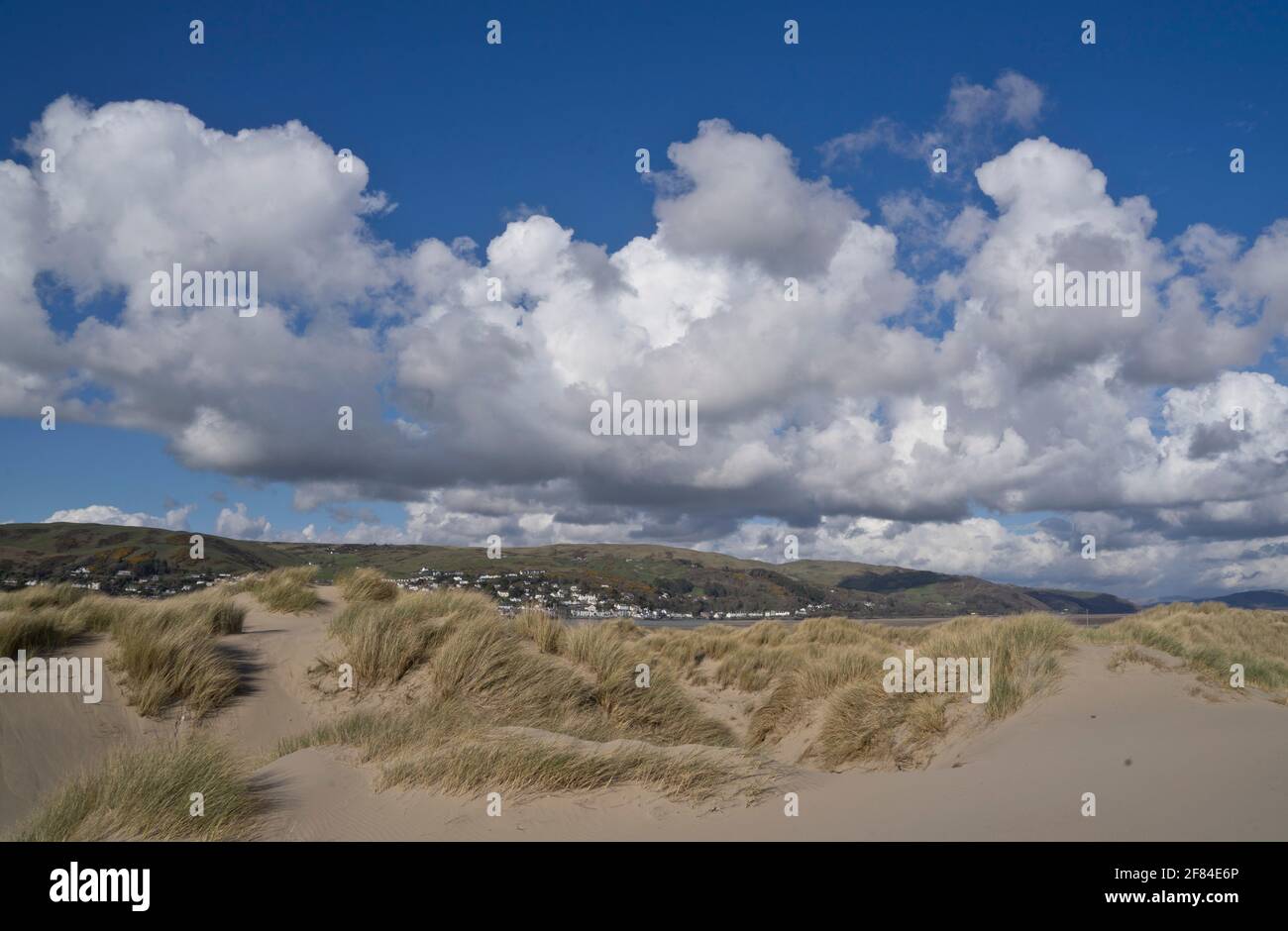 Sand dunes,grass and pebbles by the beach in Ynyslas at the Dyfi ...