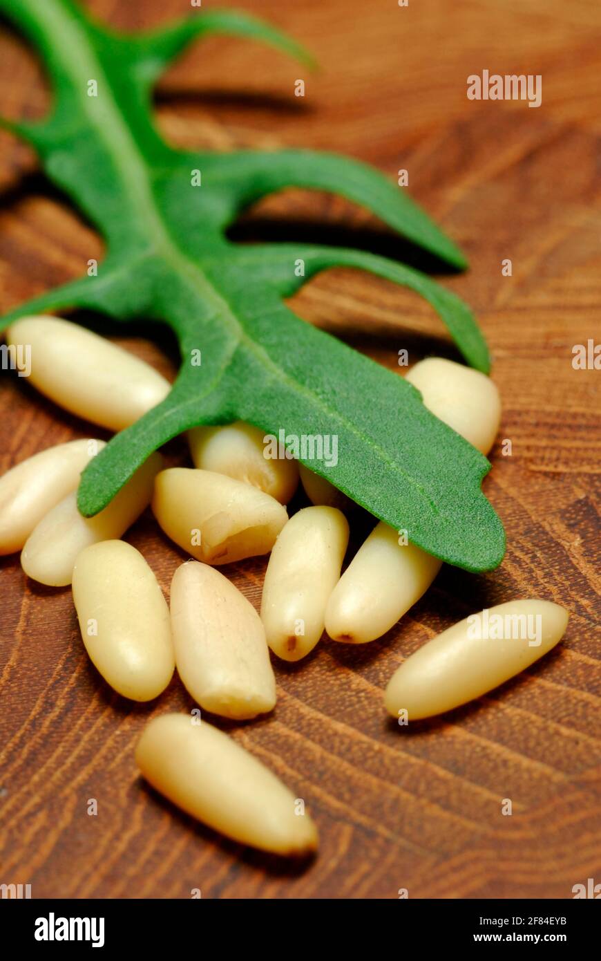 Rocket and seeds (Eruca vesicaria sativa) , rocket, arugula, arugula ...