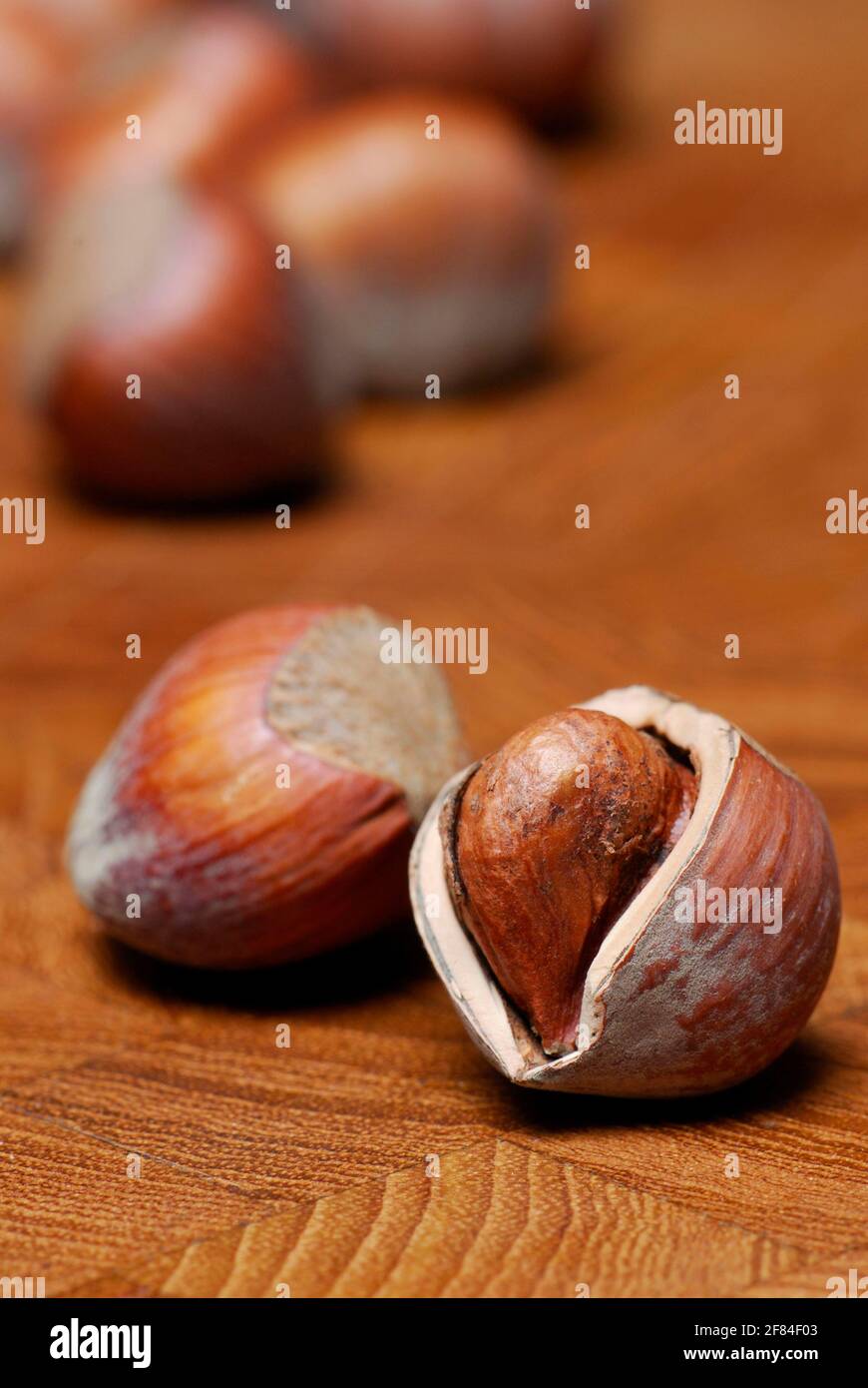 Hazel nut seed hi-res stock photography and images - Alamy