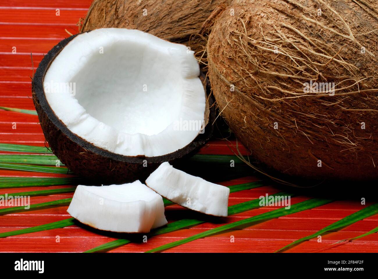 Opened coconuts (Cocos nucifera) , Coconut Stock Photo - Alamy Opened coconuts (Cocos nucifera) , Coconut Stock Photo - Alamy