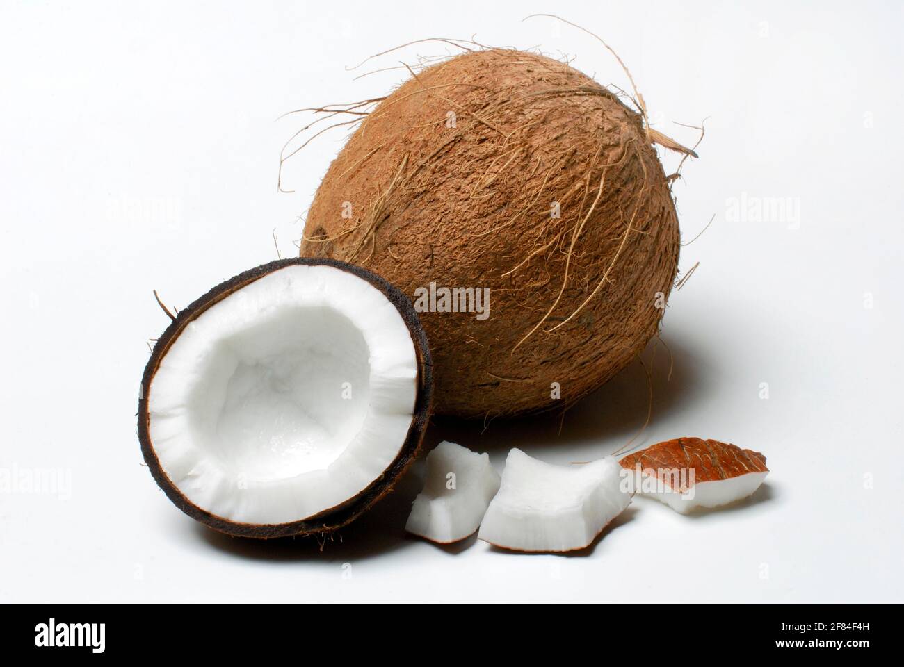 Coconuts (Cocos nucifera) , Coconut Stock Photo - Alamy Coconuts (Cocos nucifera) , Coconut Stock Photo - Alamy