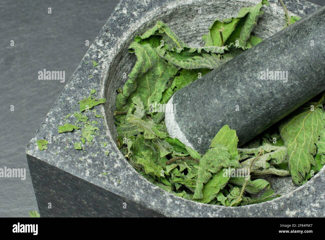 Large nettle (Urtica dioica) , dried nettle leaves in mortar Stock ...