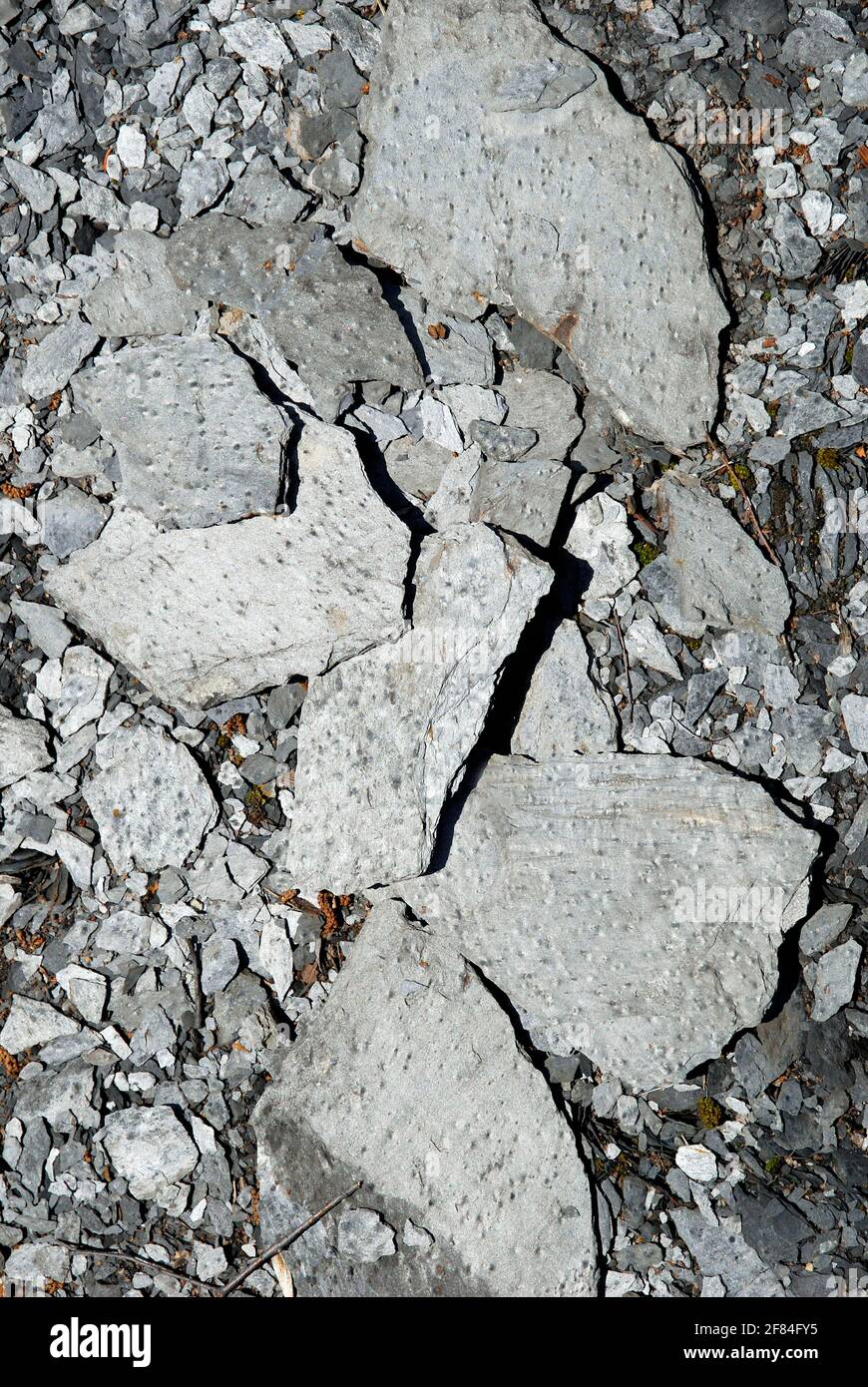 Slate, claystone, clay minerals, slate slabs, slate mountain, Valais ...