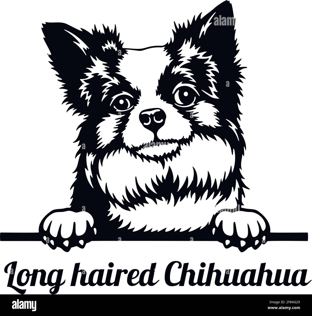 Chihuahua funny friend Stock Vector Images - Alamy