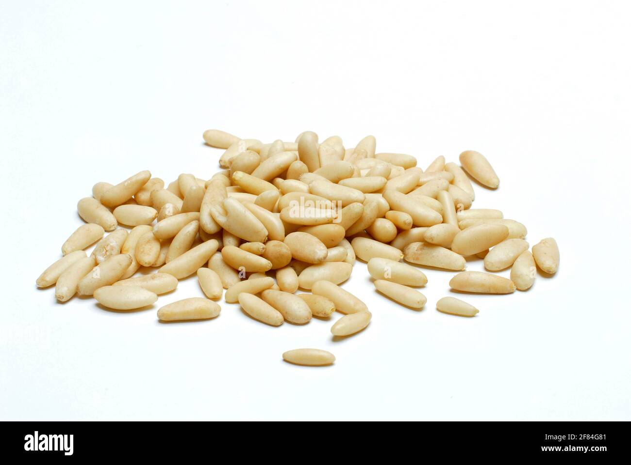 Stone Pinescores (Pinus pinea Stock Photo - Alamy