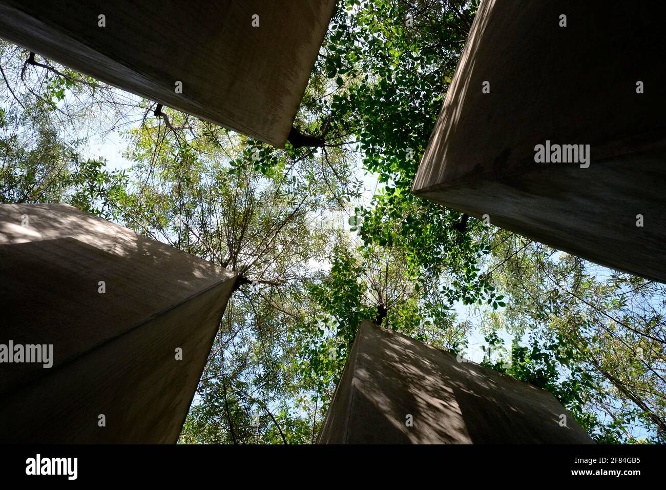 Jewish Museum Berlin, architect Daniel Libeskind, Garden of Exile ...