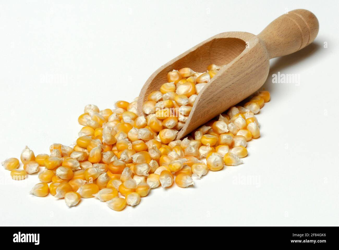 Corn (Zea mays) grains, shovel Stock Photo - Alamy