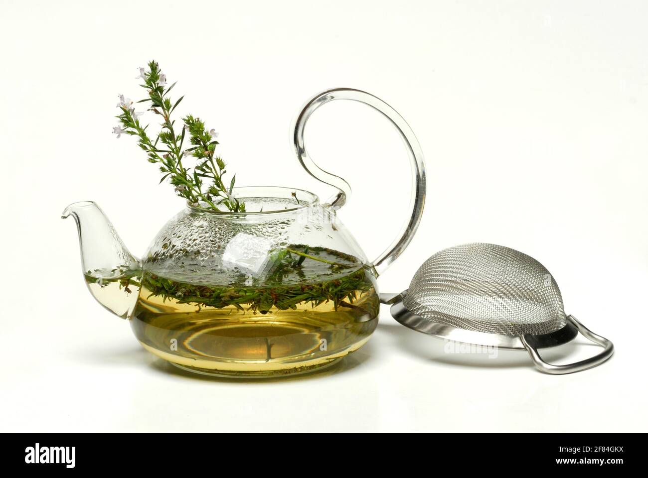 Savory tea (Satureja montana), savory tea, winter savory, mountain ...