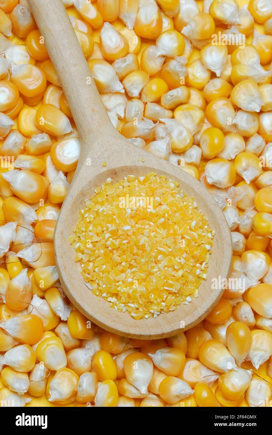 Polenta, Corn (Zea mays) semolina, flour, grains, wooden spoon Stock ...