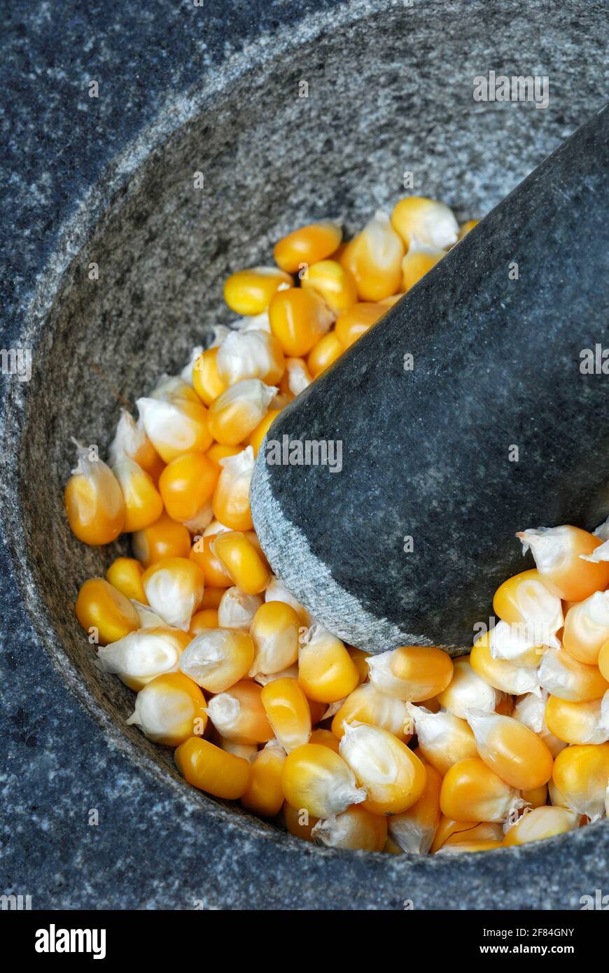 Corn (Zea mays) grains, mortar, mortar Stock Photo - Alamy