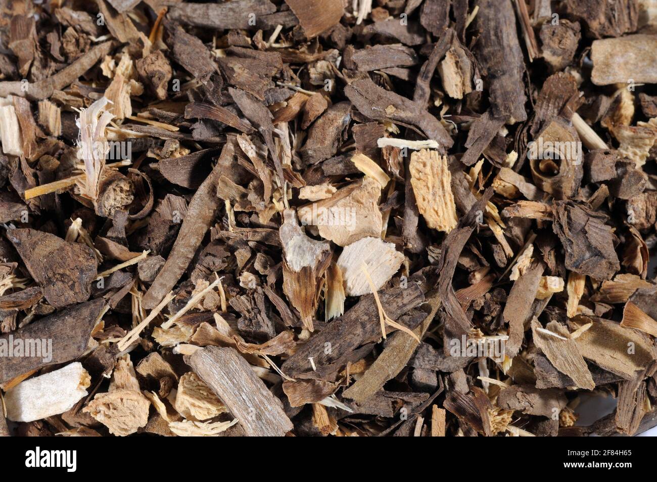 Chinese asparagus root (Asparaginis Radix Stock Photo - Alamy
