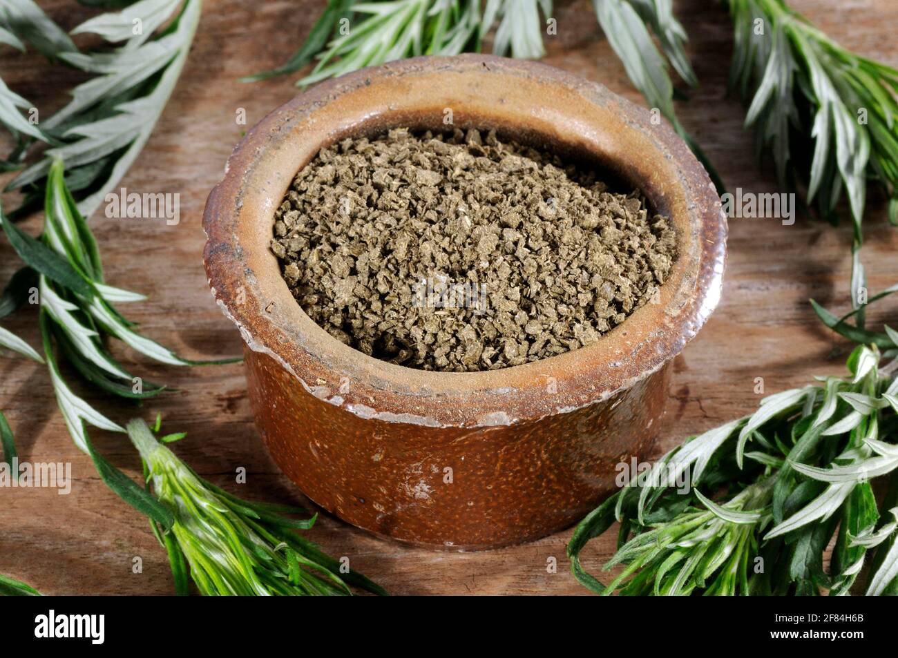 Common mugwort hi-res stock photography and images - Alamy