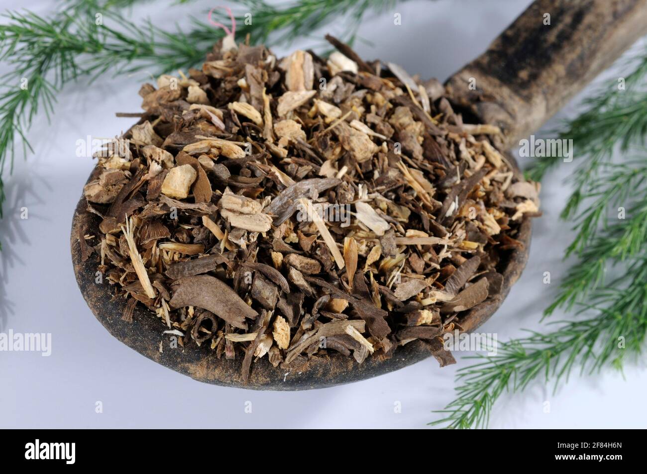 Chinese asparagus root (Asparaginis Radix Stock Photo - Alamy