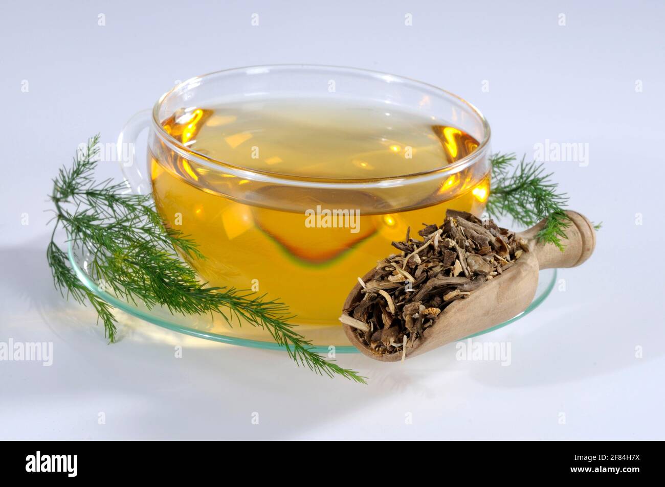 Chinese asparagus root tea hi-res stock photography and images - Alamy