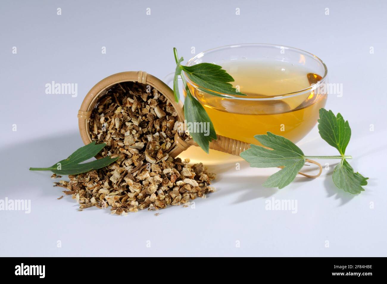 Lovage root hi-res stock photography and images - Alamy