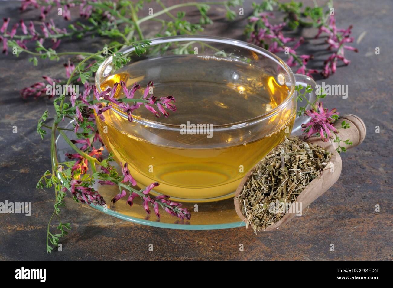 Cup of smoked tea (Fumaria officinalis Stock Photo - Alamy
