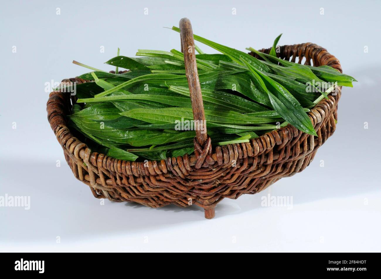 Plantain baskets hi-res stock photography and images - Alamy