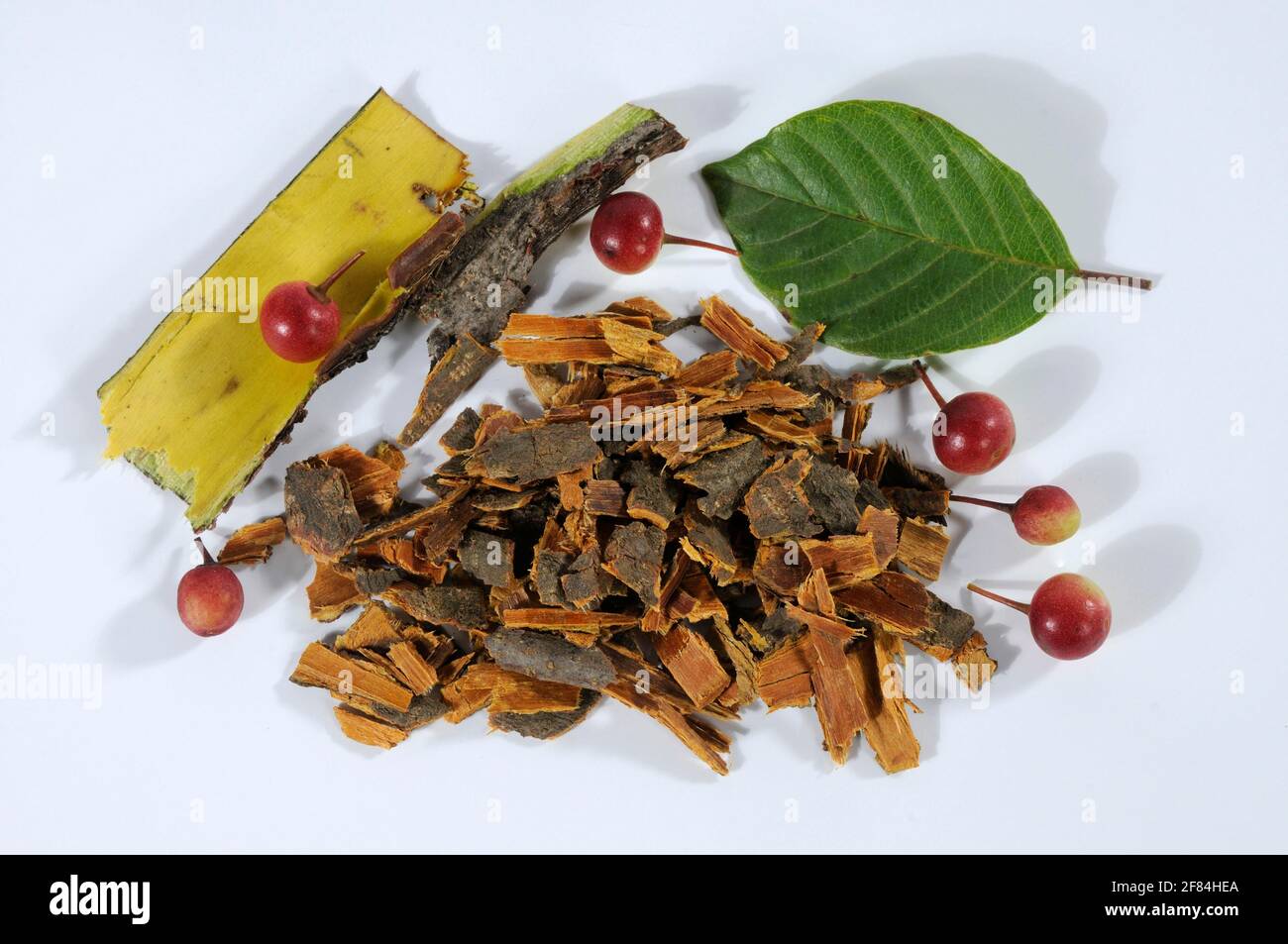 Studio shot of frangula bark hi-res stock photography and images - Alamy