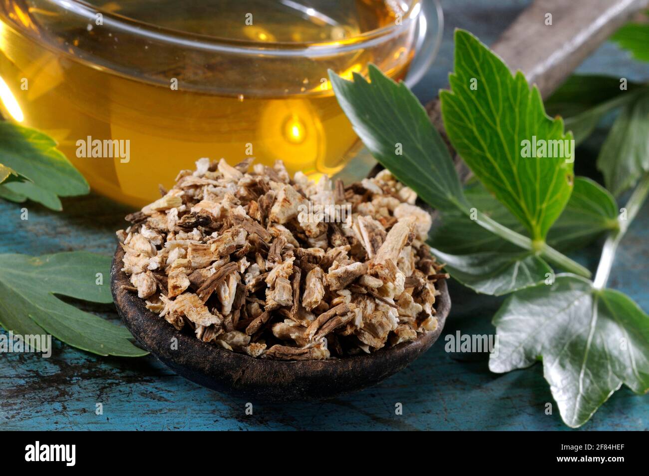 Lovage root hi-res stock photography and images - Alamy