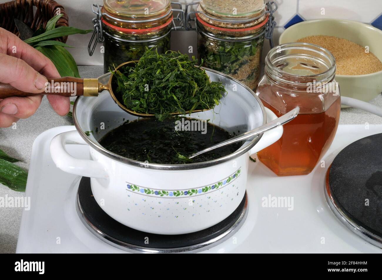 Production of ribwort syrup (Plantago lanceolata), syrup, cooking pot ...