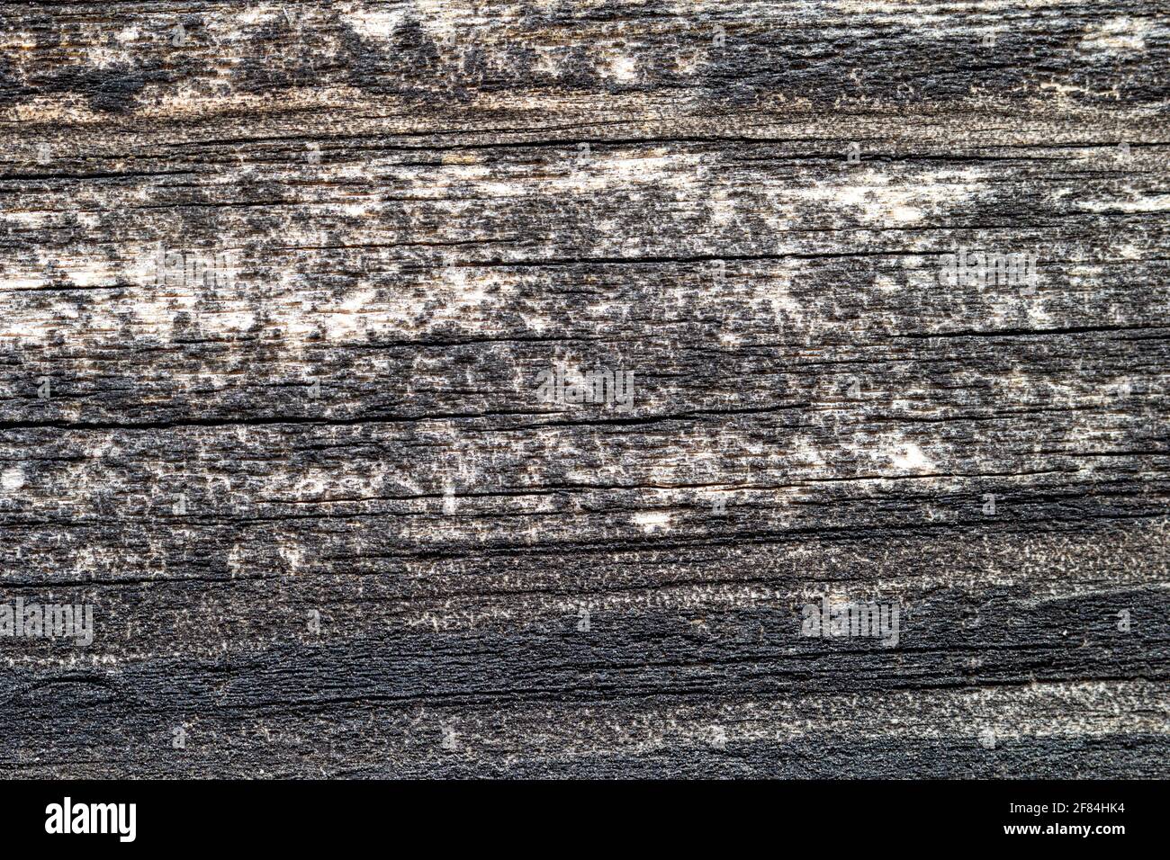Damaged wood texture hi-res stock photography and images - Alamy