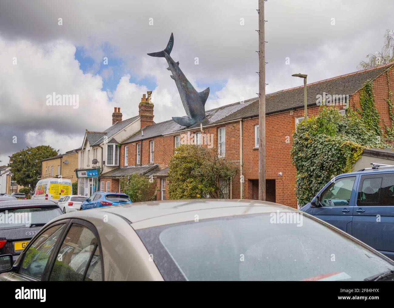 Shark in roof hi-res stock photography and images - Alamy