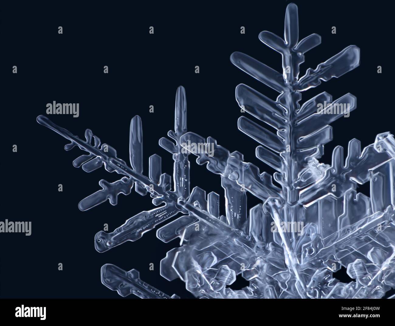 Detail of a real snowflake against a black background Stock Photo - Alamy