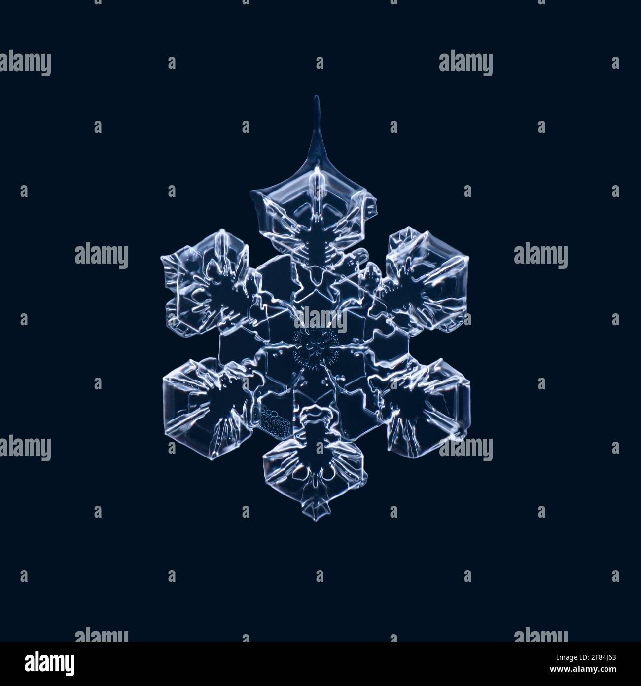 Snowflake microscope hi-res stock photography and images - Alamy