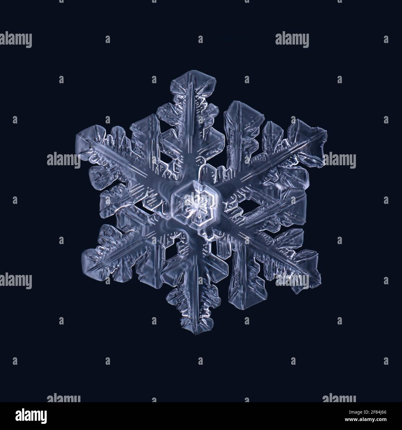 Snowflake microscope hi-res stock photography and images - Alamy