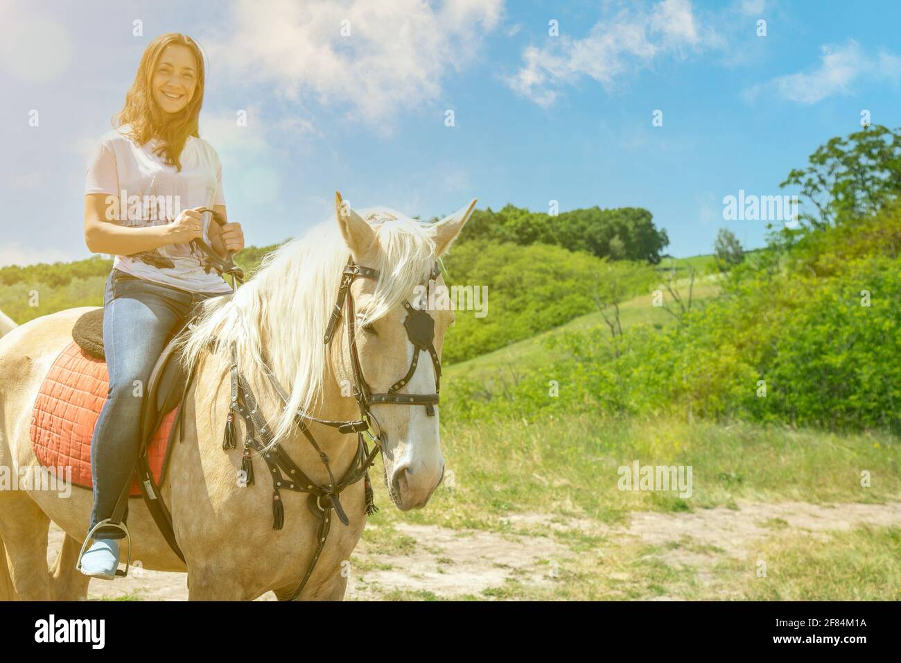 the rider on the white horse. Young horsewoman riding on white horse ...