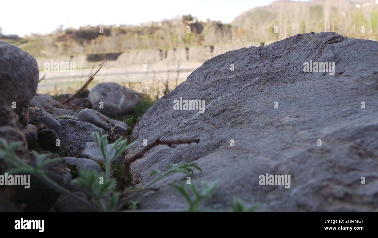 a closeup of a large rock and pebbles with grown greenery Stock Photo ...