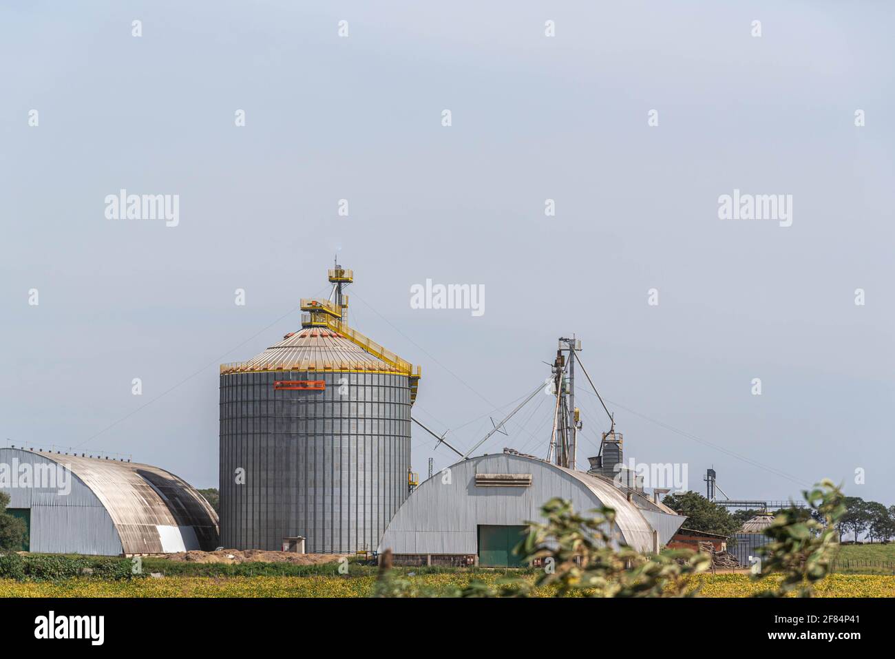 Large agricultural granary for grain storage. construction in which ...